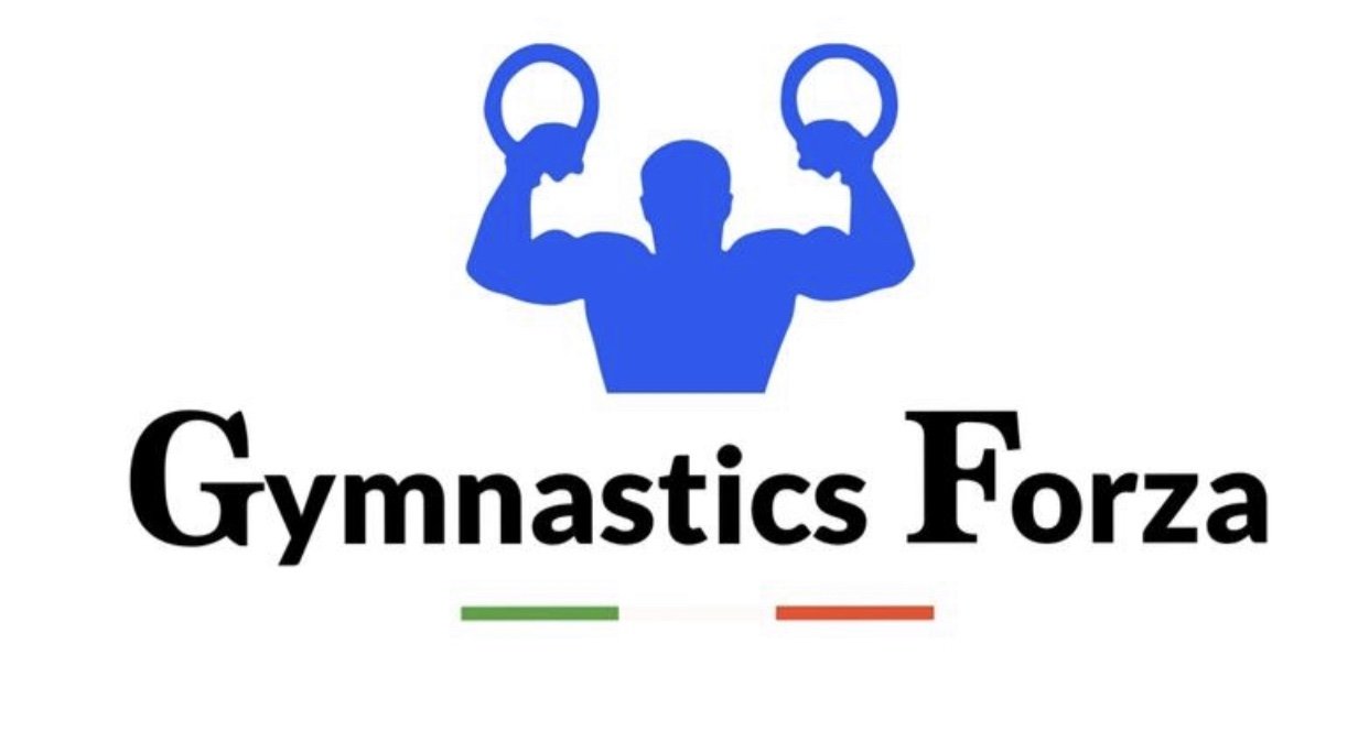 GYMNASTICS FORZA RINGS SYSTEM – gymnastics forza