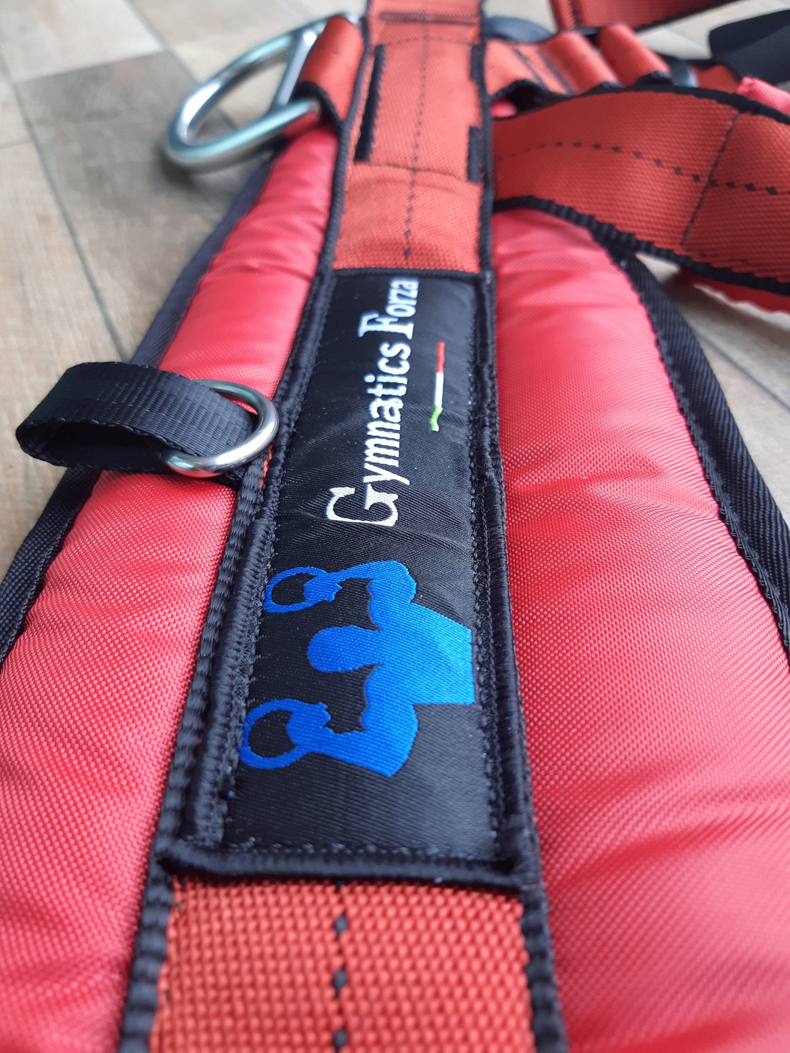 Small Harness: 50-70 cm / 19-27 inches – gymnastics forza